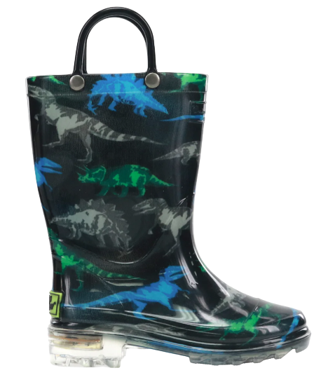 Dinosaur Friends Rain Boot – Haase Shoe Store and Young Folks Shop