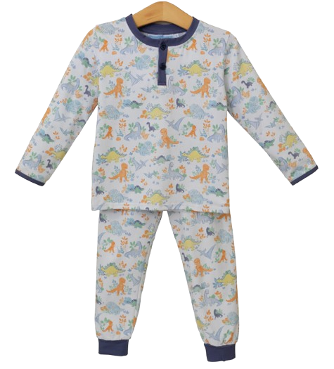Dino Adventure Lounge Set – Haase Shoe Store and Young Folks Shop