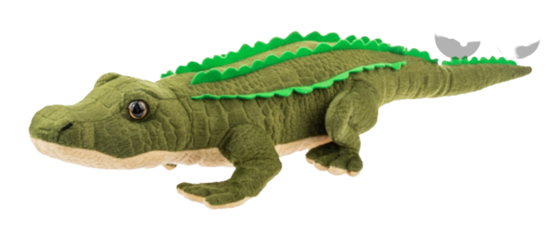 Ganz Seaside Alligator – Haase Shoe Store and Young Folks Shop